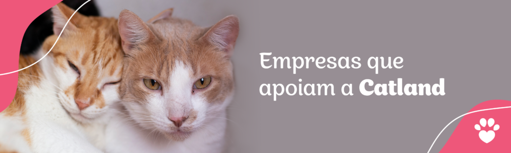 Parceiros – Catland Adoção de Gatinhos